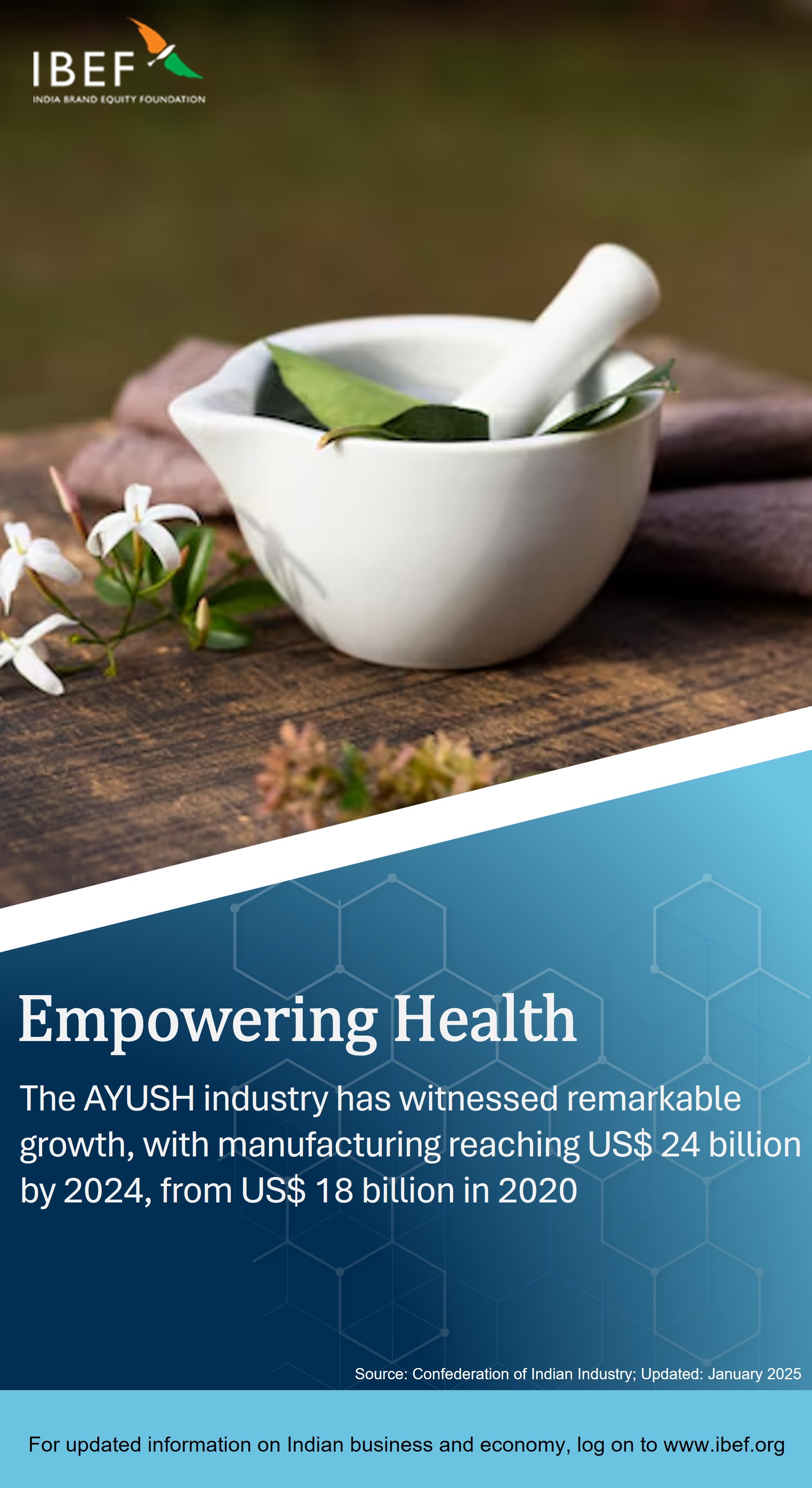 IBEF Posters : Ayush