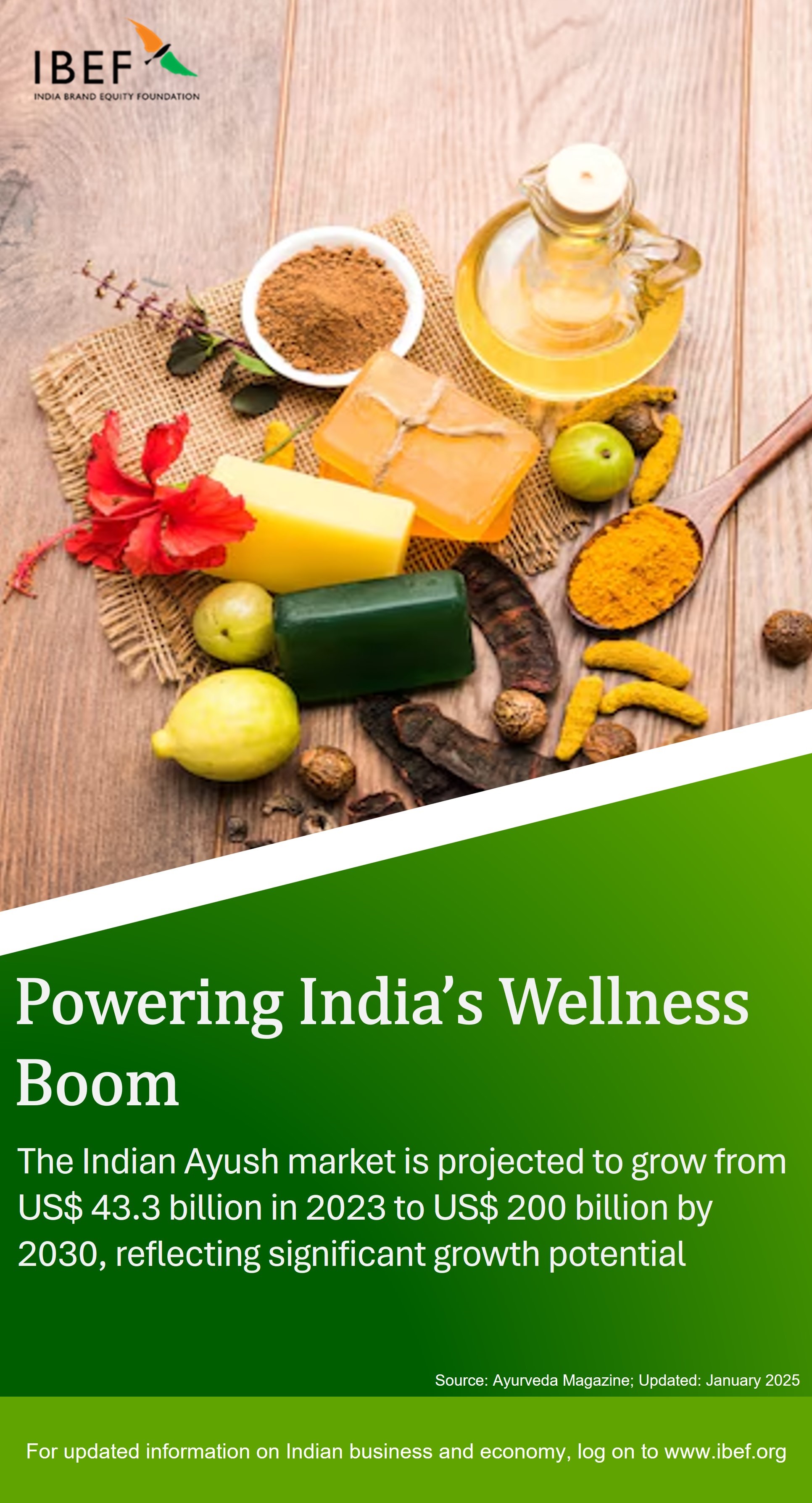 IBEF Posters : Ayush