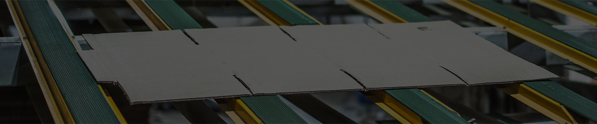 TCPL Packaging Ltd